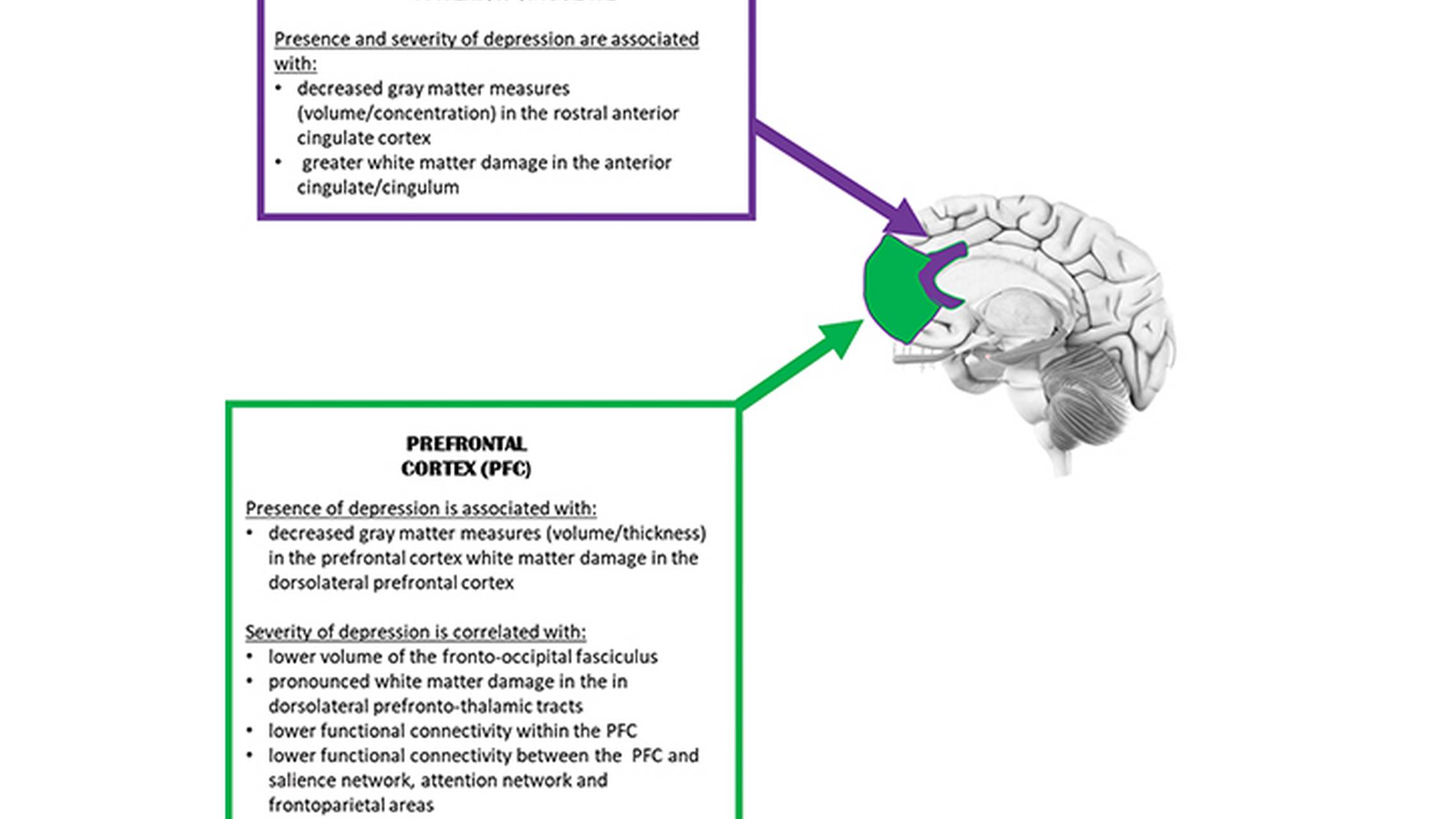 Mood Disorders Following Traumatic Brain Injury