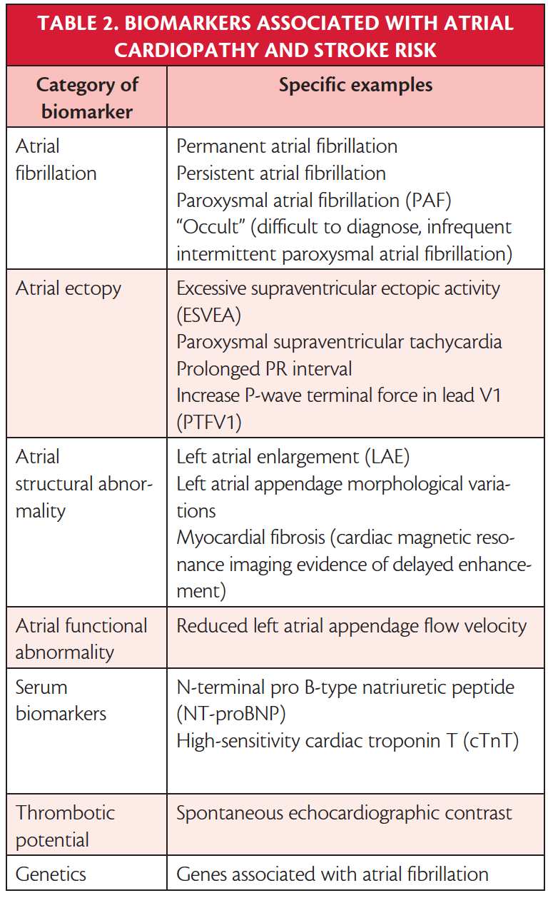 Atrial Cardiopathy and Stroke