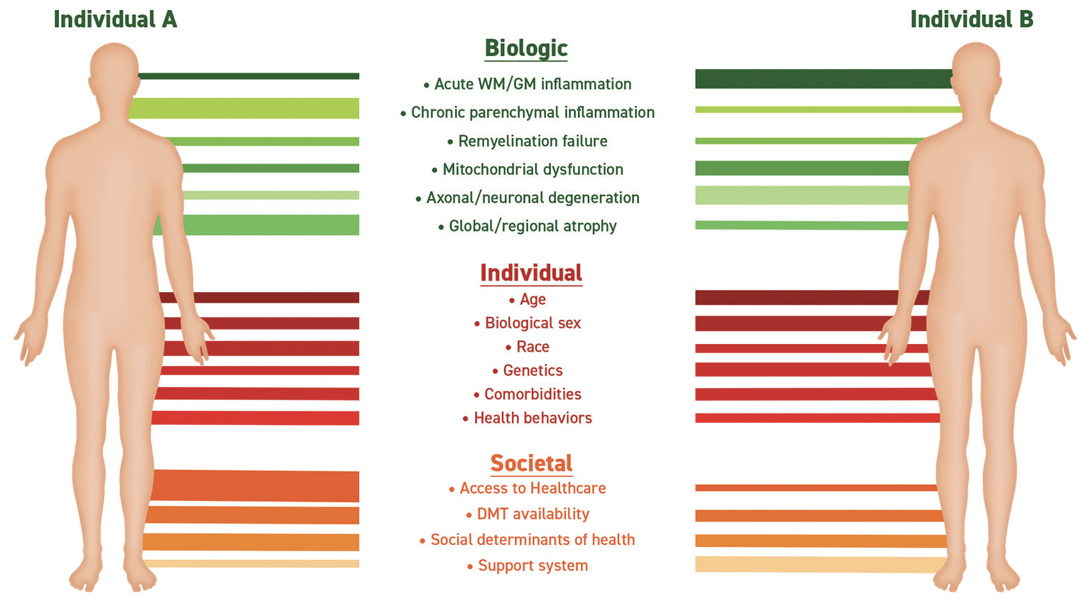 Progressive Multiple Sclerosis: Functional, Anatomic, and Bi