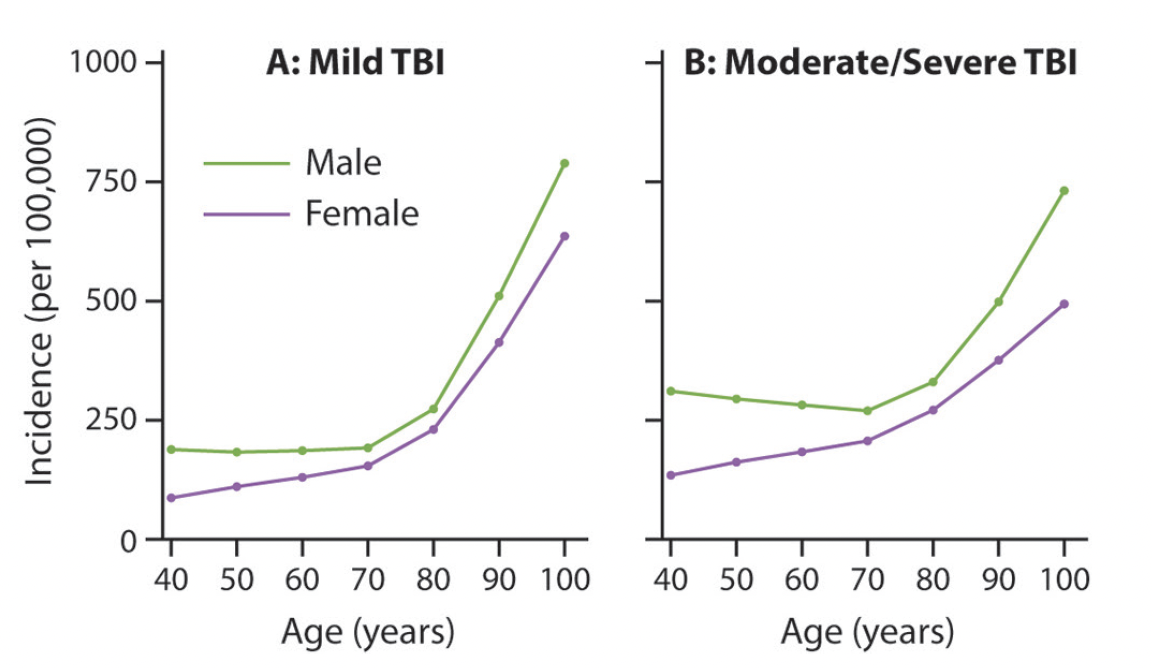Traumatic Brain Injury in Older Adults: Epidemiology, Manage