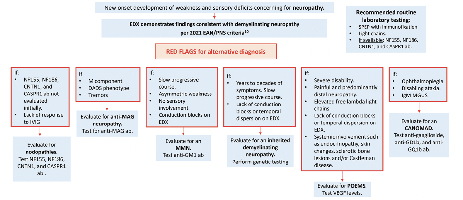 Diagnosis of Chronic Inflammatory Demyelinating Polyneuropat