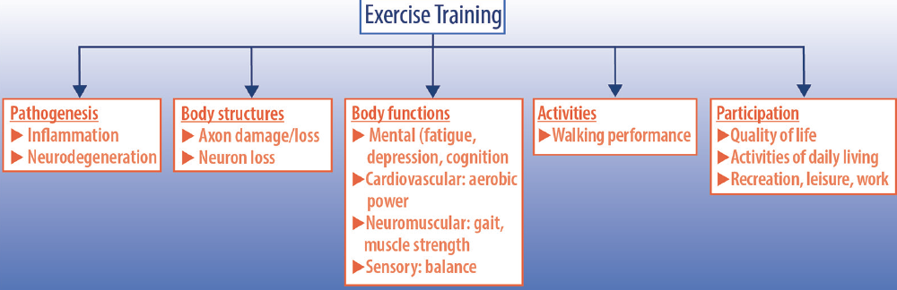 Multiple Sclerosis Minute: Physical Activity & MS