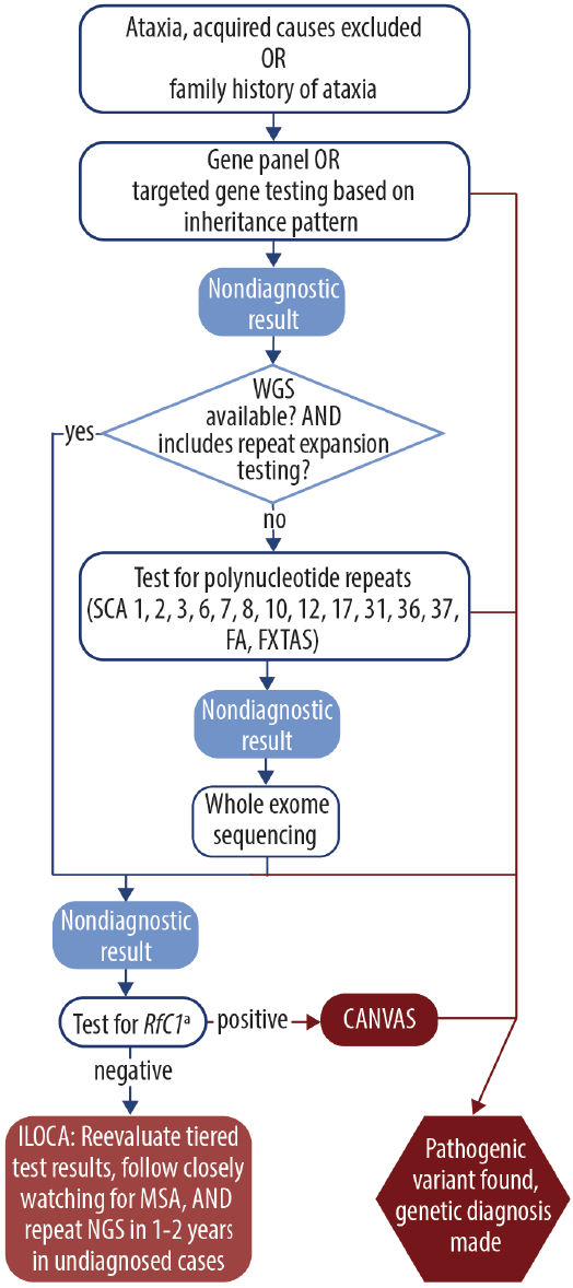 Adult-Onset Cerebellar Ataxias