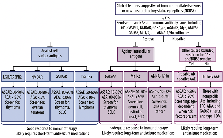 Autoimmune-Associated Epilepsy