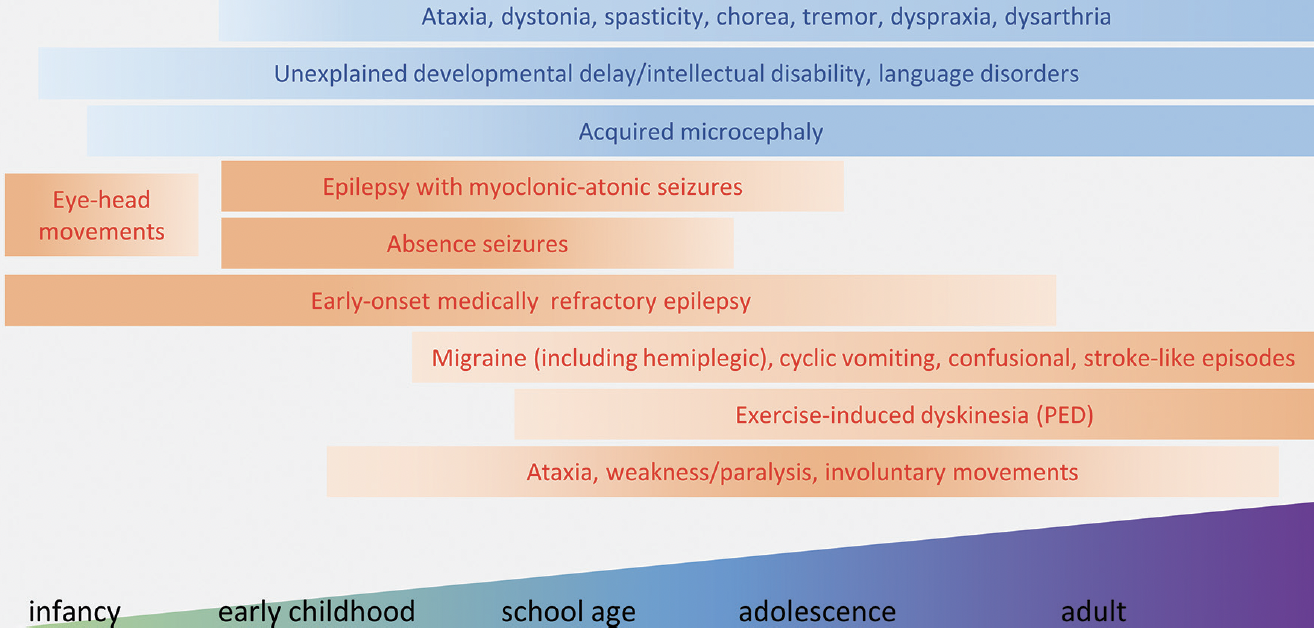 Toward Precision Medicine for Genetic Epilepsies: Glucose Tr