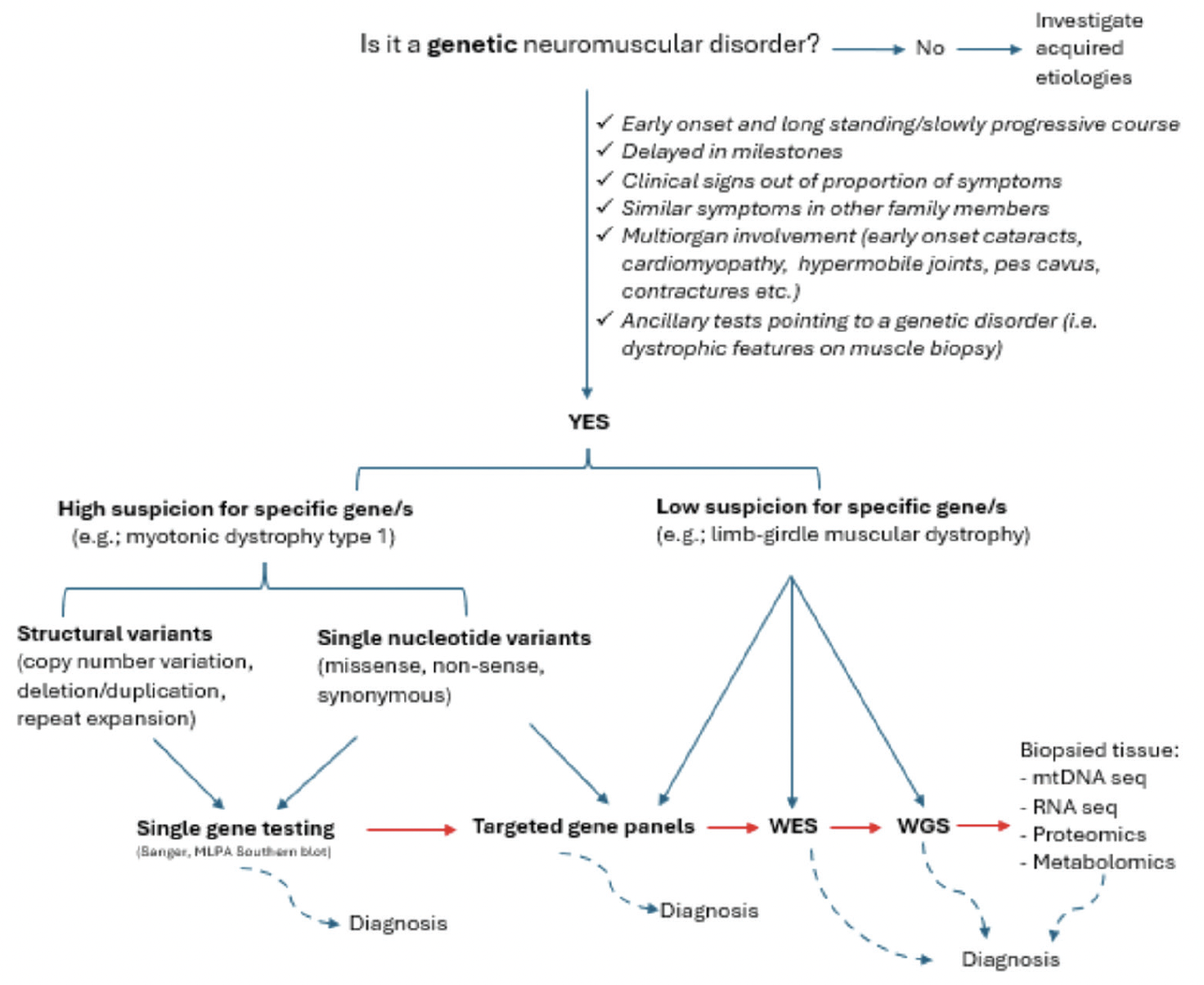 Neuromuscular Notes: Genetic Testing for Neuromuscular Disea