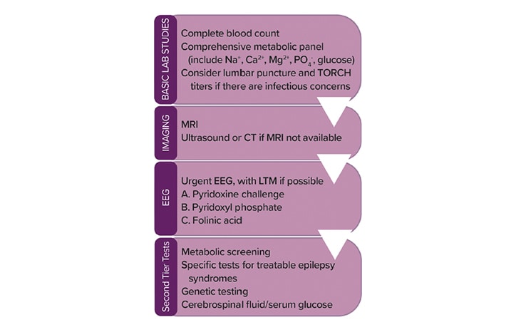 Epilepsy Essentials: Metabolic Causes of Neonatal Seizures