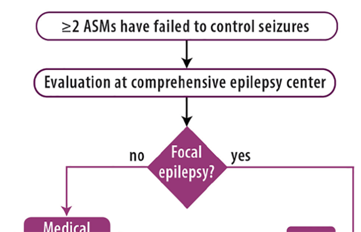 Epilepsy Essentials: Neuromodulation for Drug-Resistant Epil