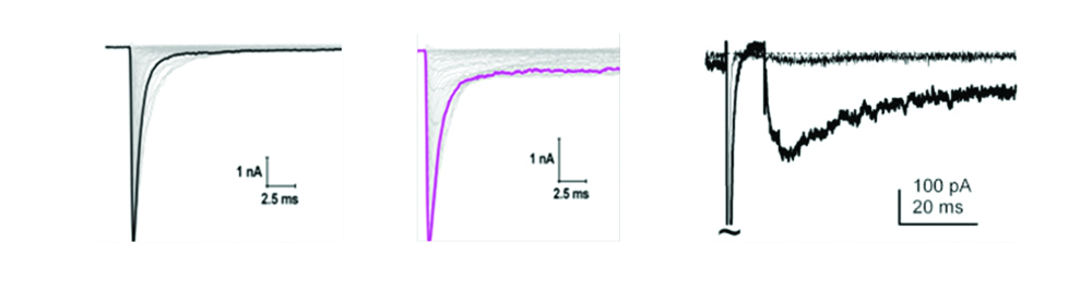 Emerging Selective Sodium Channel Antagonists for Epilepsy