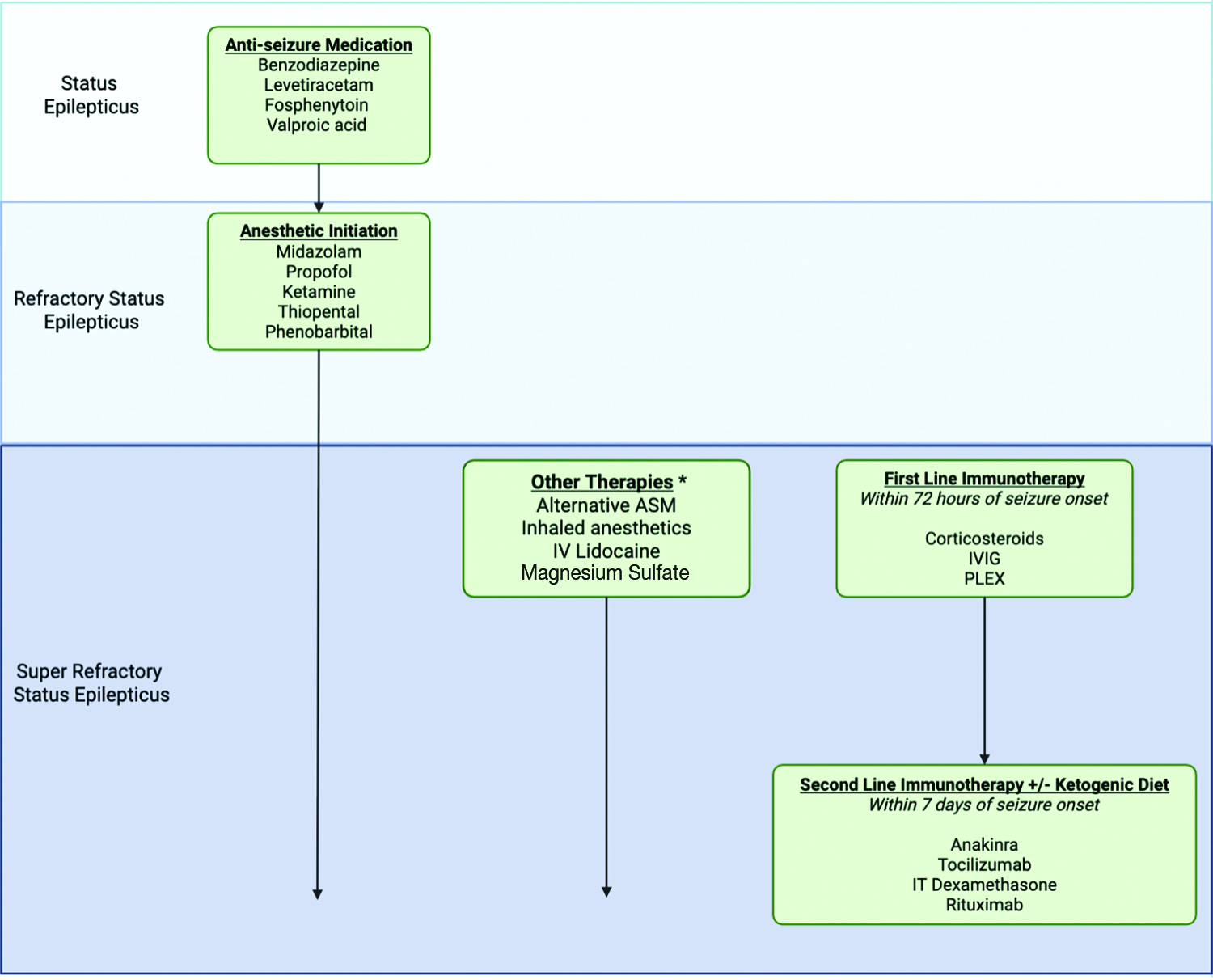 Immunotherapy for Refractory Status Epilepticus