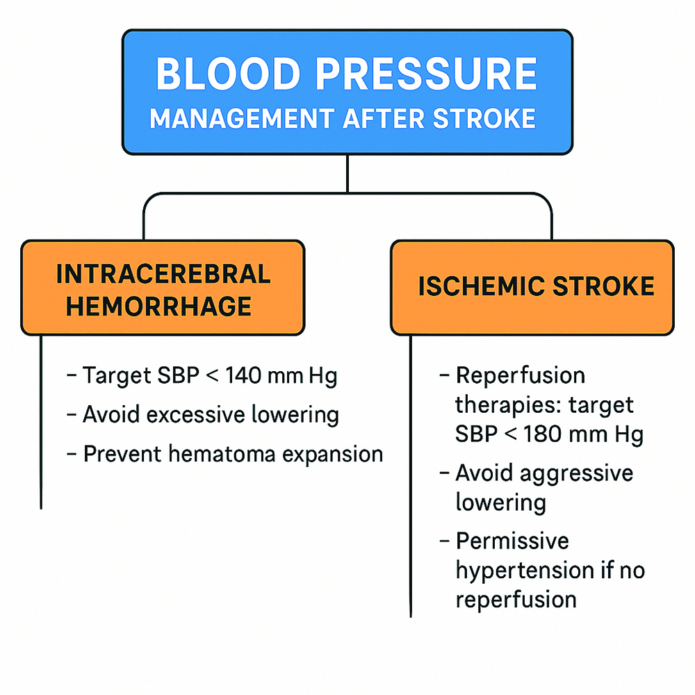Blood Pressure Targets After Stroke: How Low Is Too Low?